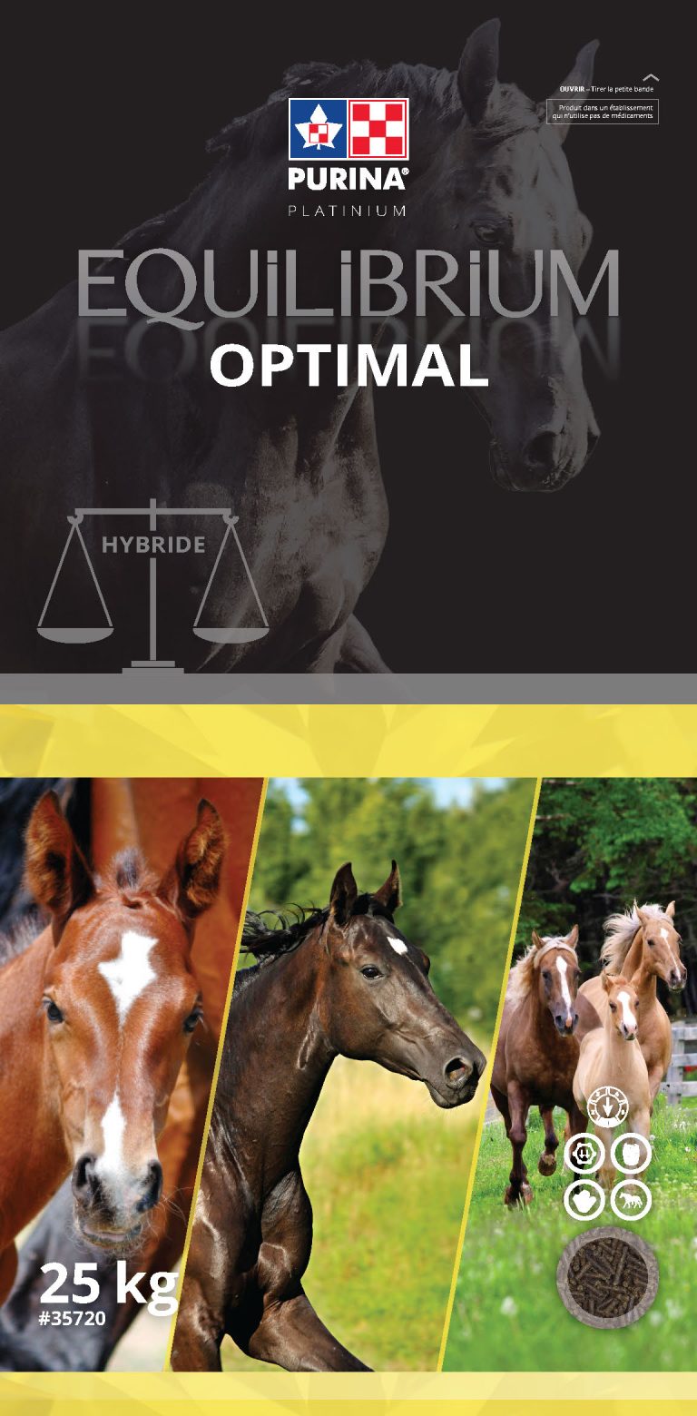 PURINA - Equilibrium Optimal 25kg - Letourno